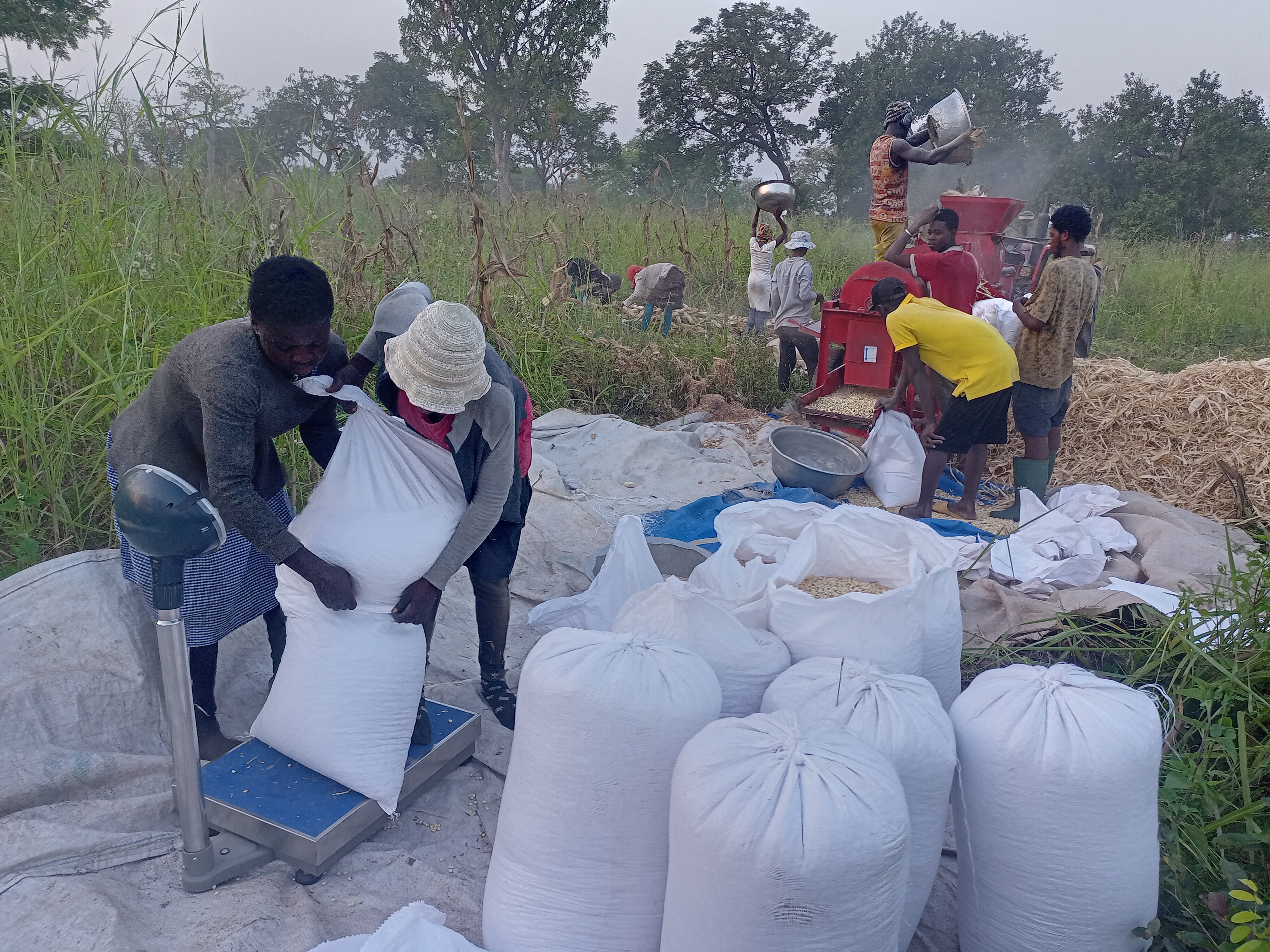Why Youth Entrepreneurship Is Key to Community Development – AgroT Hub